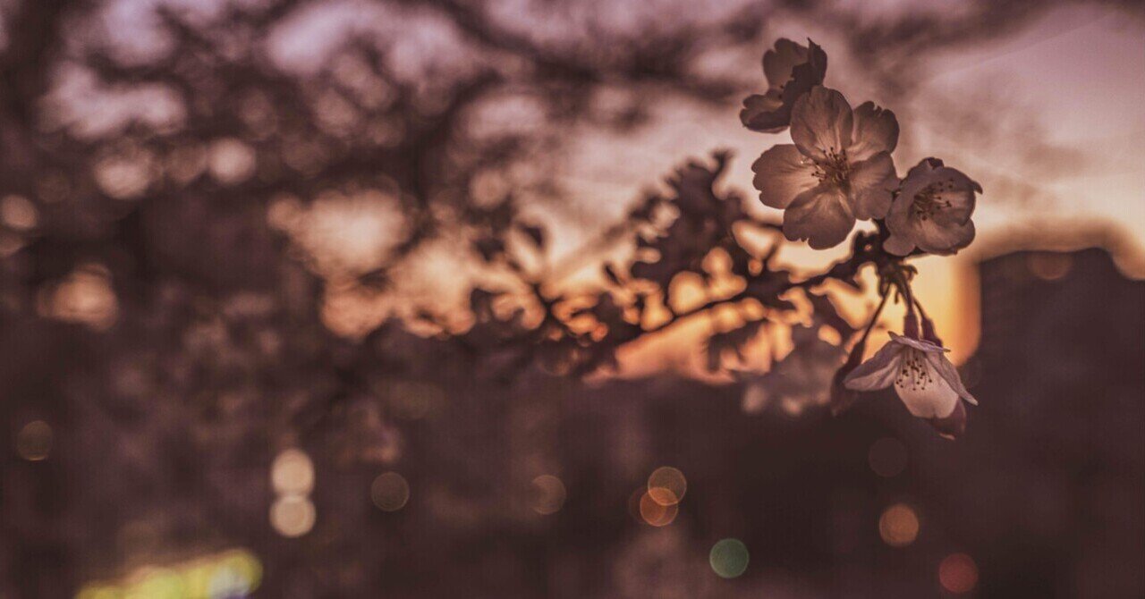 安定を求める人への処方箋｜lain jing｜note