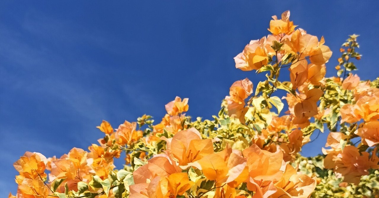 香りのこと｜J M Chieko｜note