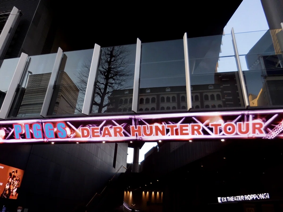 PIGGS DEAR HUNTER TOUR FINAL｜あっくん