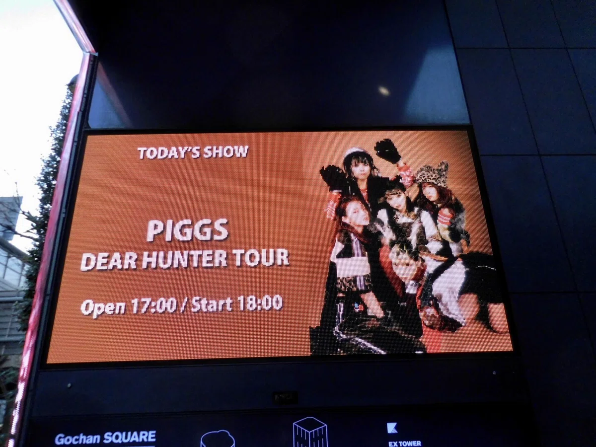 PIGGS DEAR HUNTER TOUR FINAL｜あっくん