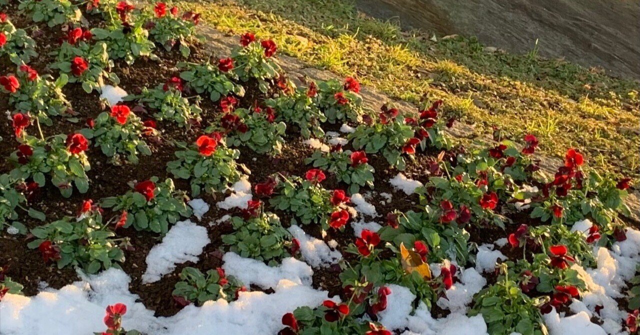 本音は「その仕事、私にもやらせてほしい！」｜Naoko Kato｜note