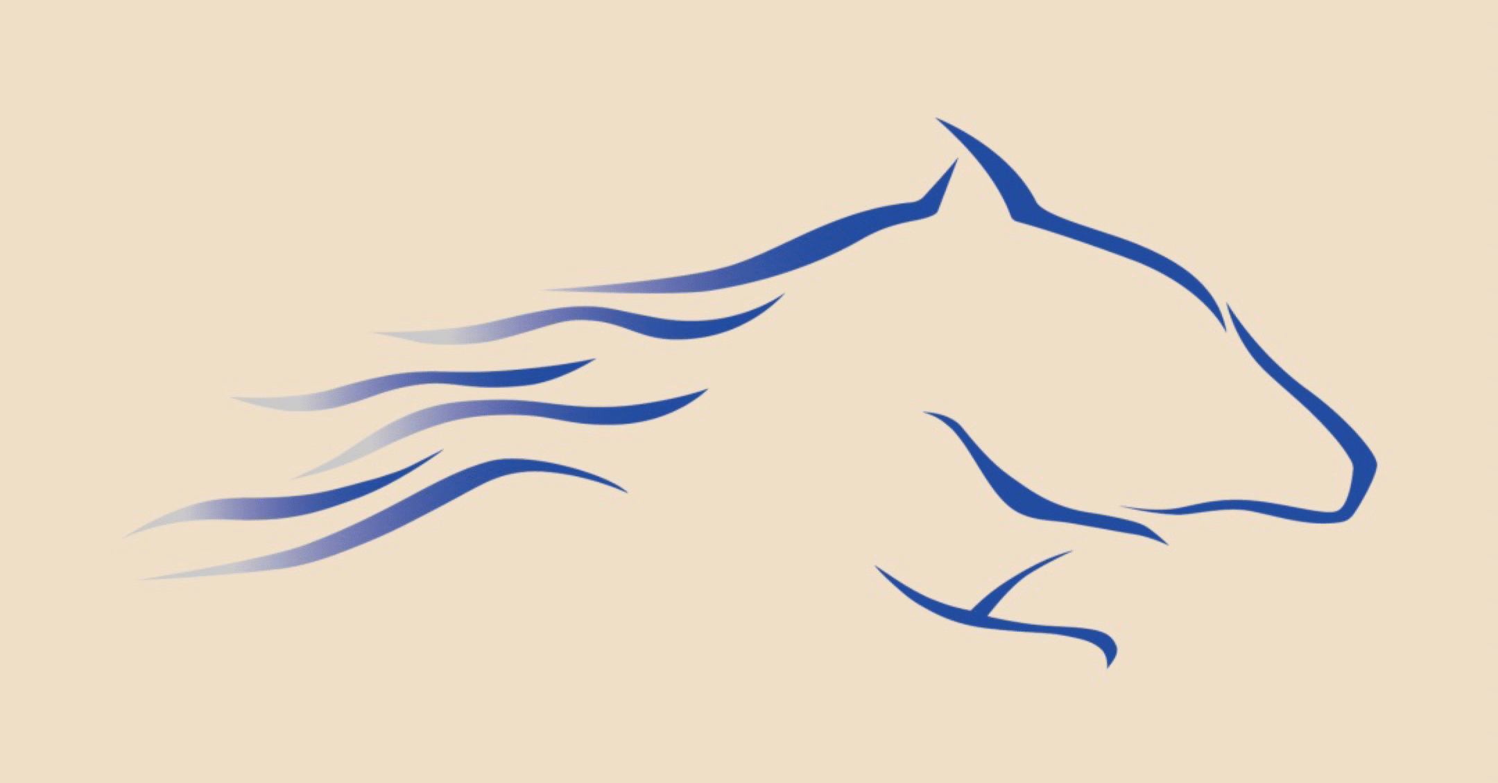 多喜翠星 -Suisei Taki-｜note