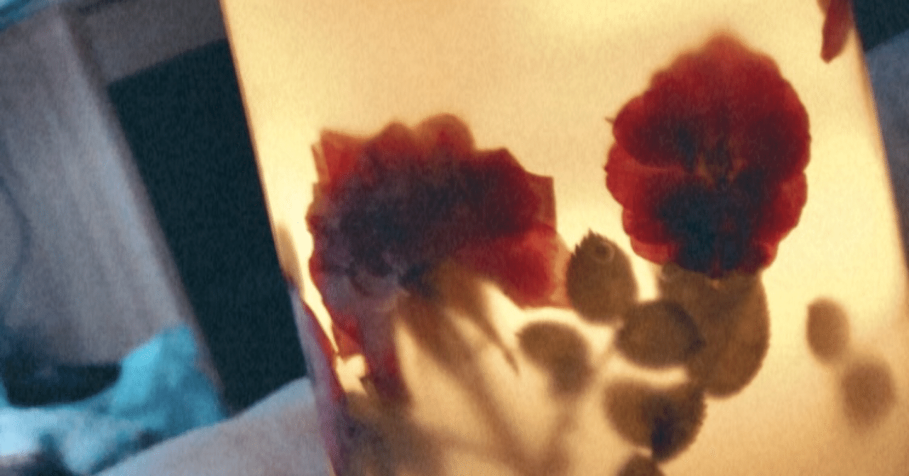 vol.95 こんな日もあるよね｜hase_saki587｜note