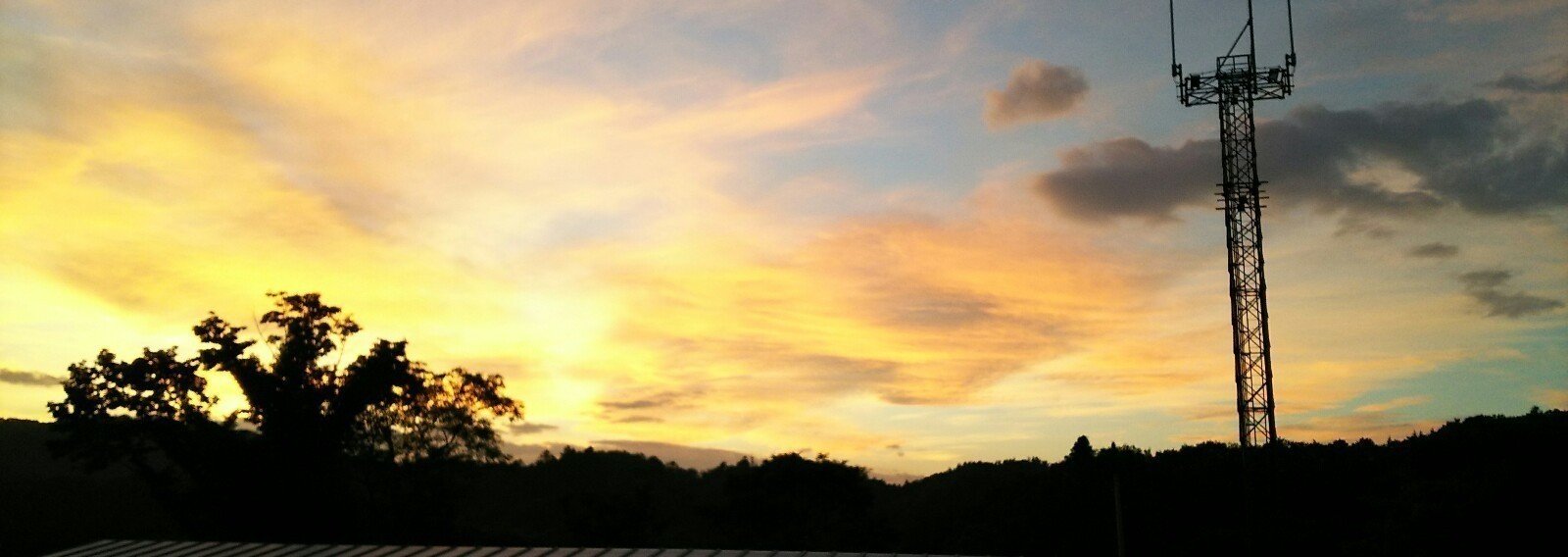 hoshika hoshikage｜note