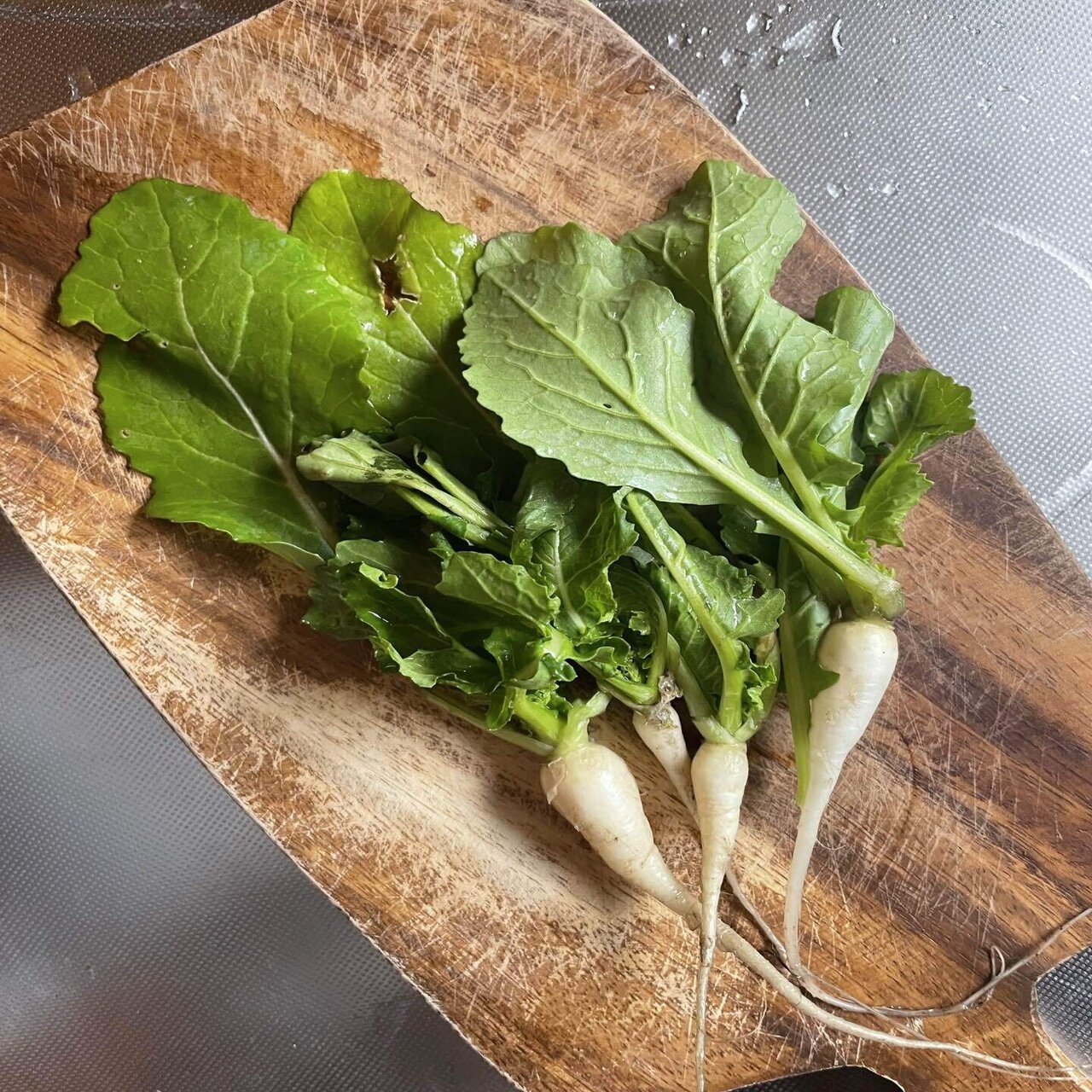 田舎に移住して幸せだと思った10のこと〜その1〜｜Julia Moli