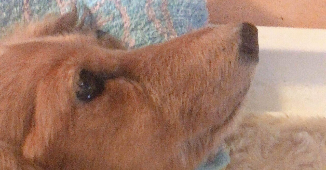 vol.34 小さくても命｜hase_saki587