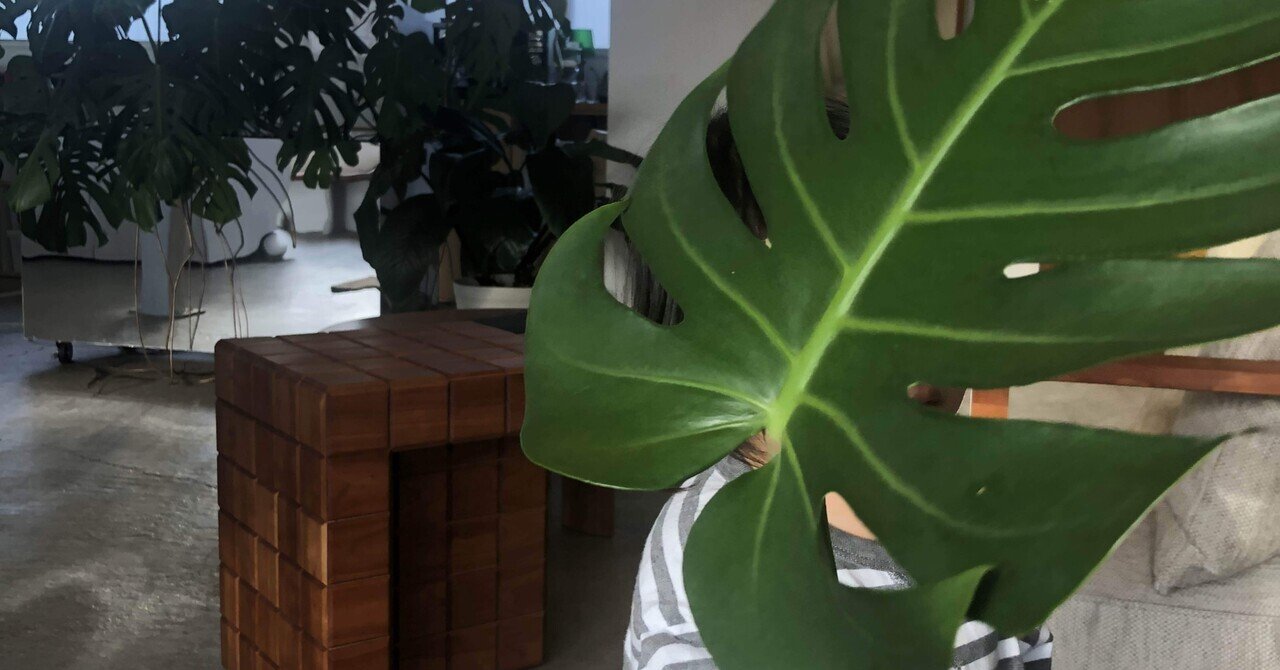 初投稿｜hananagi｜note