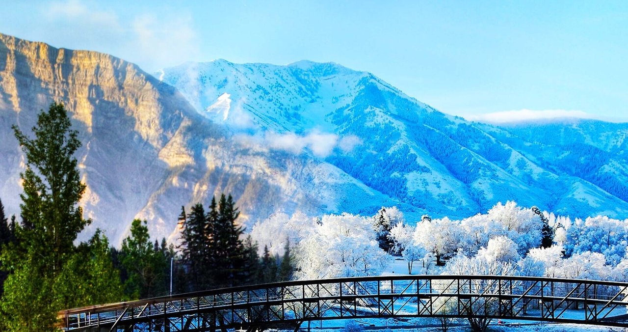 最後の人生｜Hitomi｜note