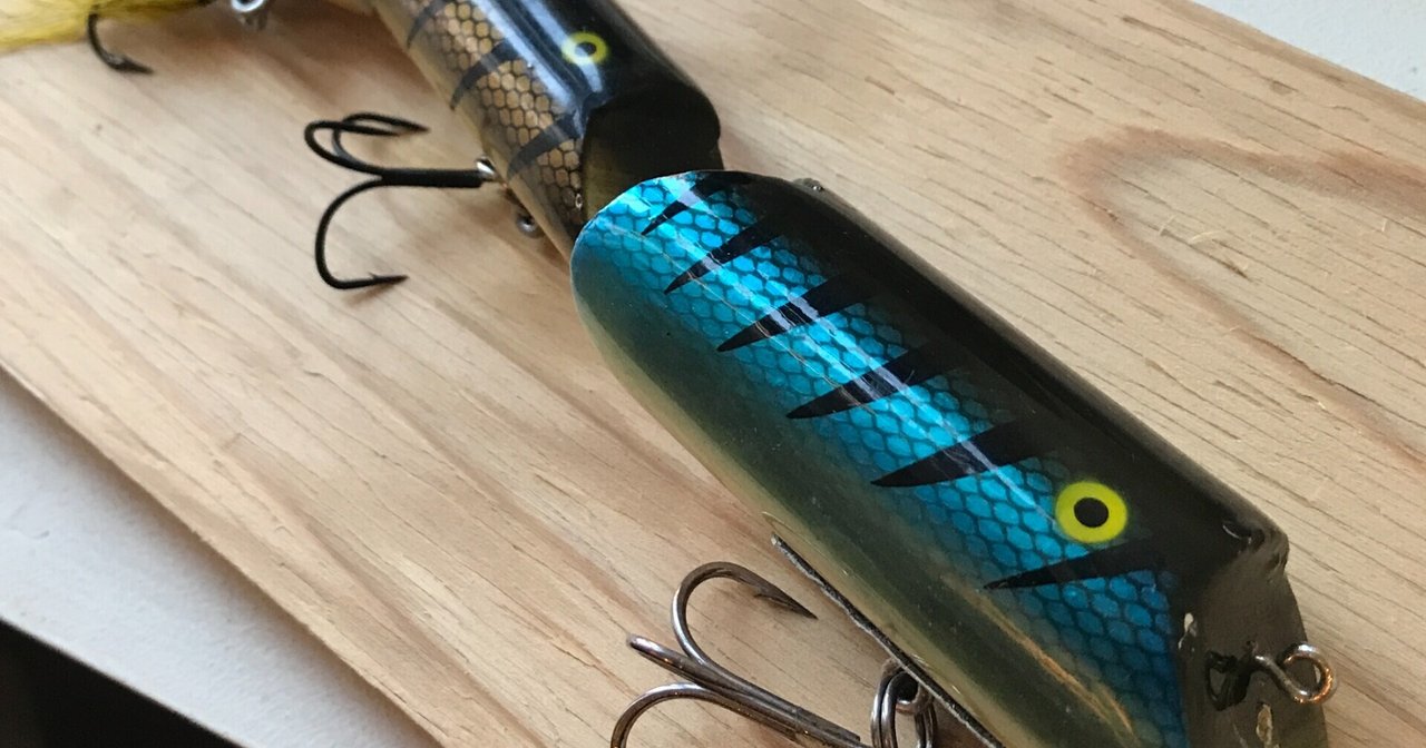 磯釣りのベテランにバス釣りをナメられて、なんて答えよう？｜水藤友基 / Tomoki Suito｜note