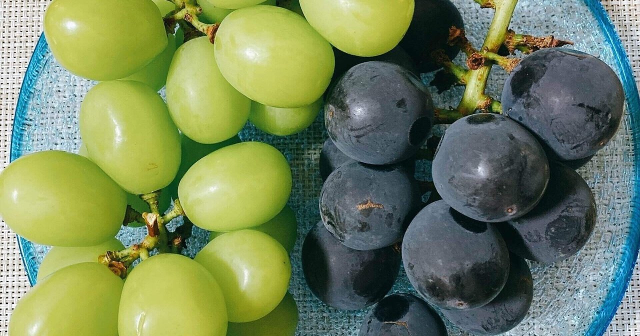 友人の商売｜konta_note