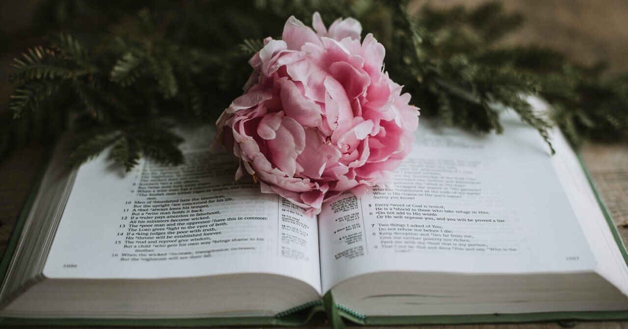 衝撃｜ROKO@晴れたり曇ったり