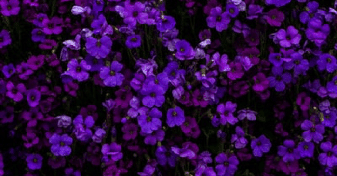 純粋に生きる事｜CHIEKO｜note