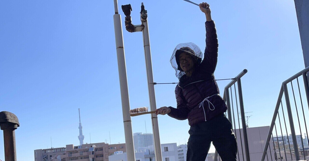 養蜂場の紹介と本日のミツバチたち【養蜂生活276日目】｜yabusan（823）