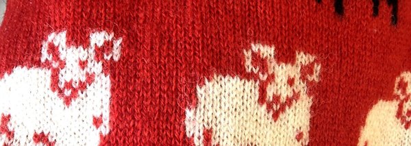 Kaoru_reviews｜note