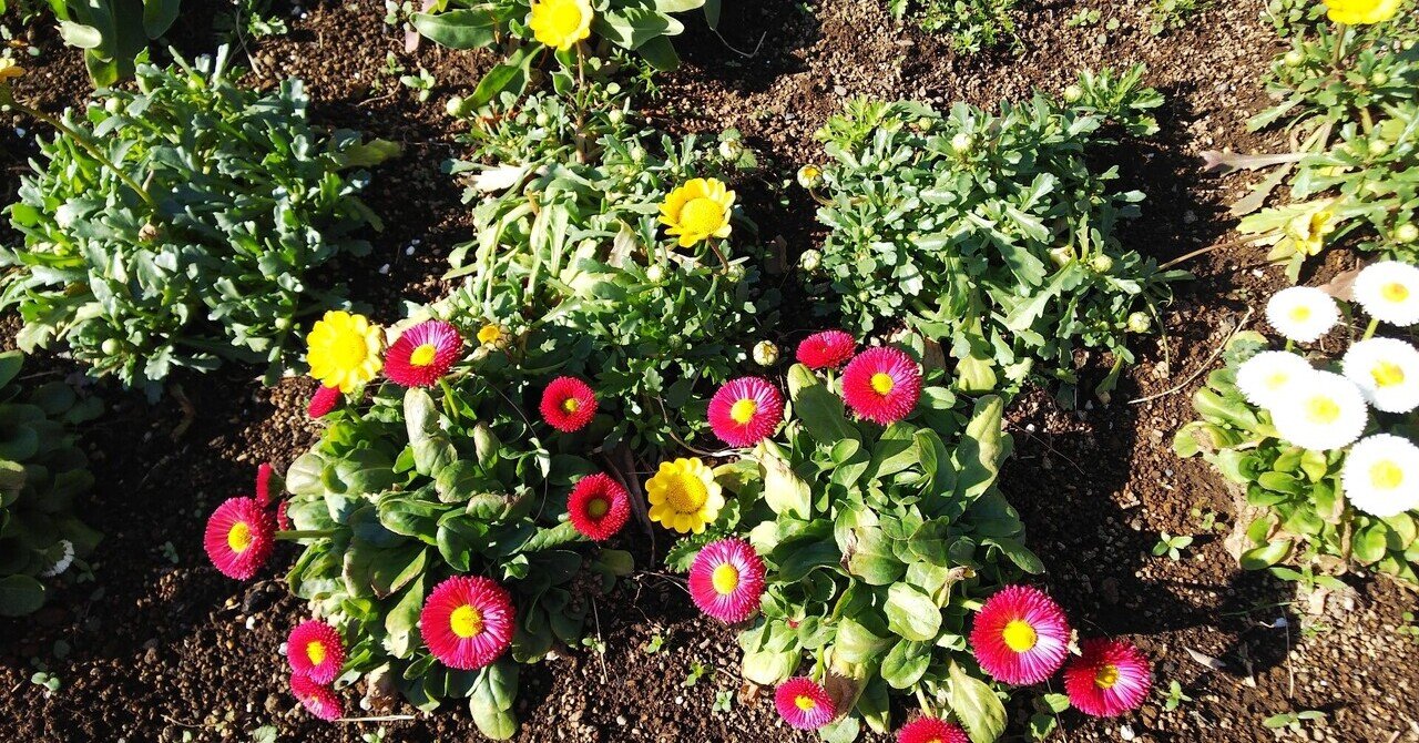 自灯明法灯明 Podcast #21 George Pohleさん Part 2｜Ruriko_Watanabe｜note