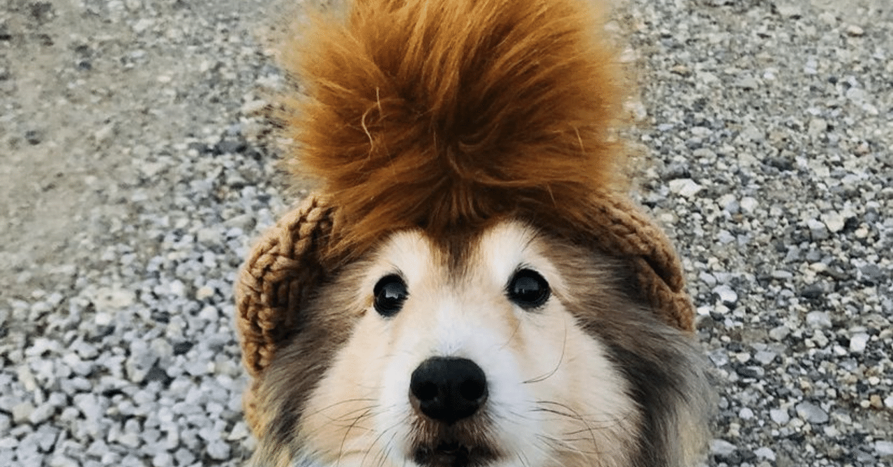 背筋を伸ばして生きる｜オオノヨシヒロ｜note