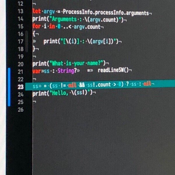 【Console Application】基本文法 28【学習記】｜SAYKA.｜note
