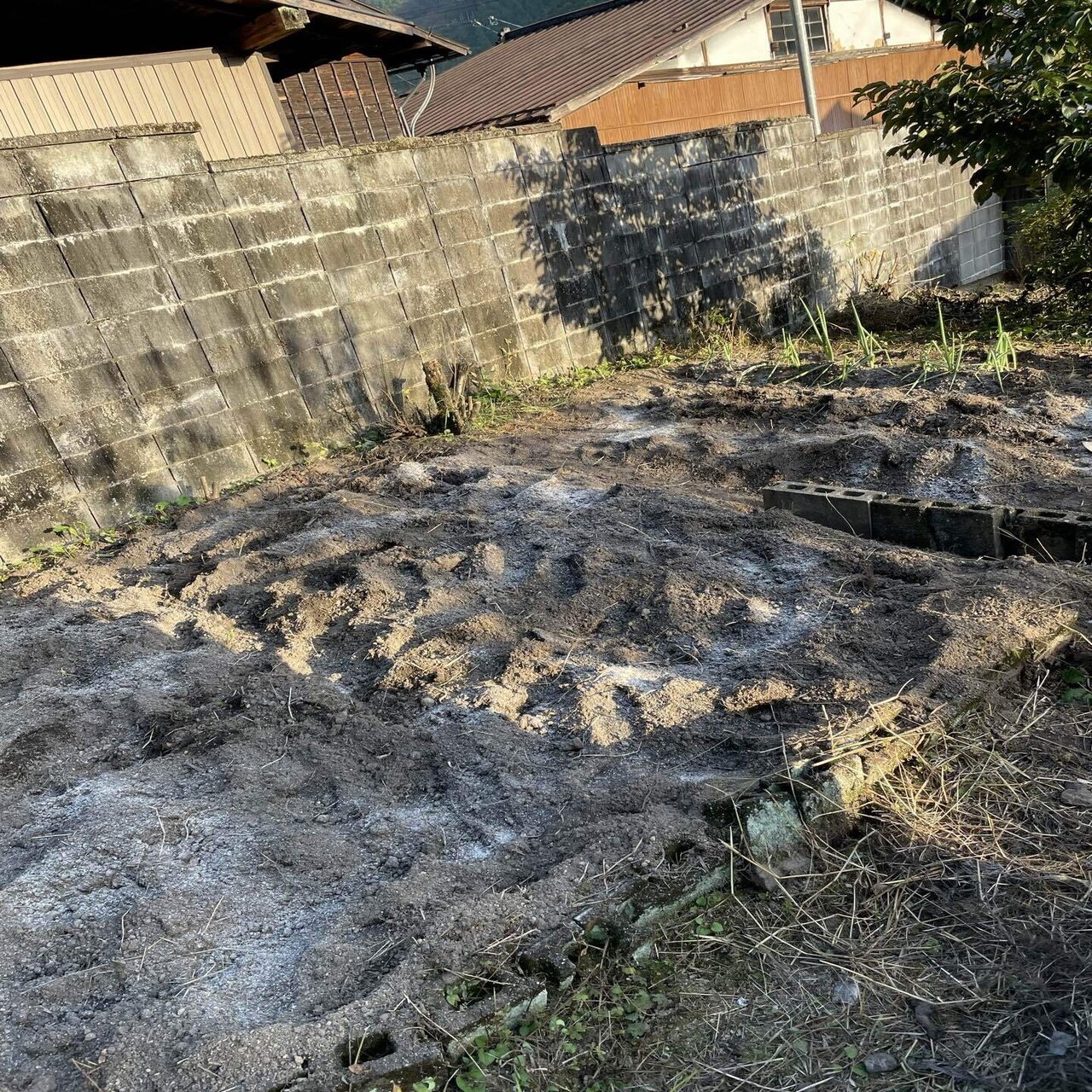 田舎に移住して幸せだと思った10のこと〜その1〜｜Julia Moli