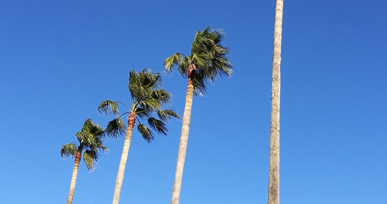 愛の言い訳｜Hattori Itsuki｜note