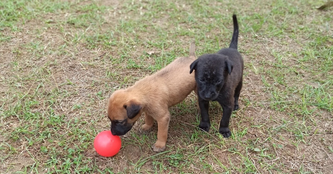 責任感のこと｜J M Chieko