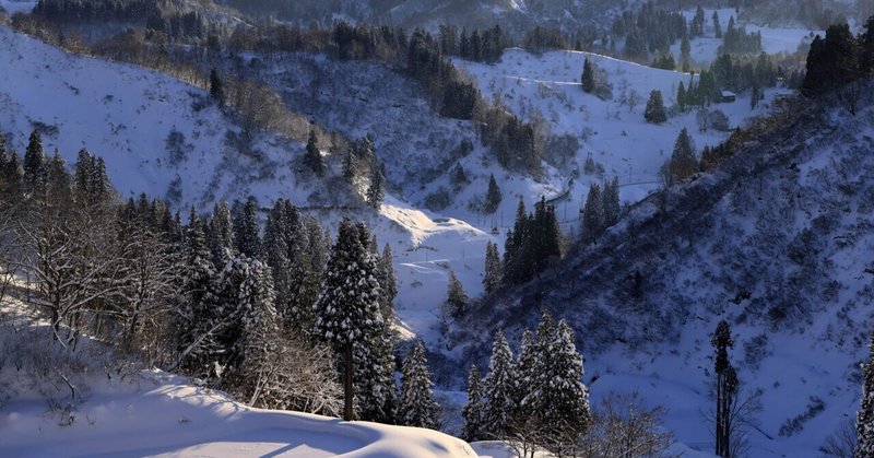 #3 レンズを向ける先｜廣瀨 翔 / Sho Hirose｜毎日投稿継続中｜note