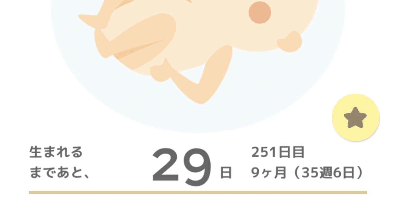 出産に向けて｜moru.｜note