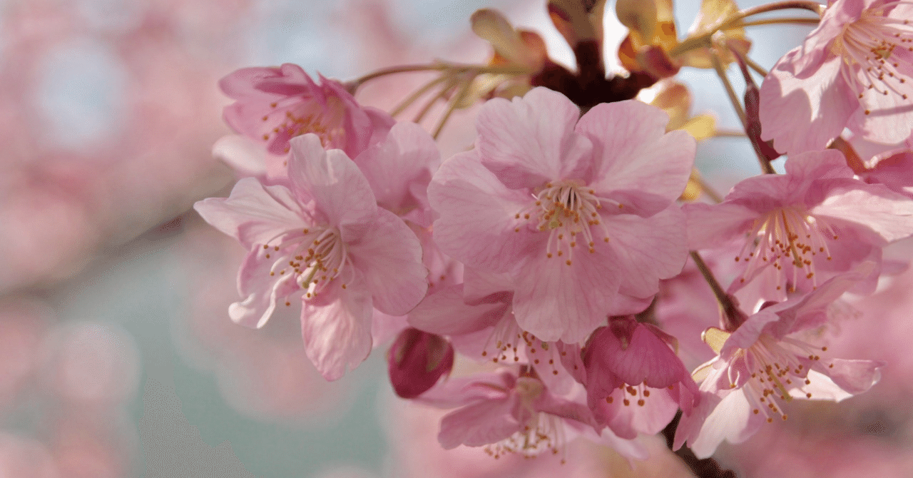 これは良い選択だったと感じている点②｜decoboco_mama｜note