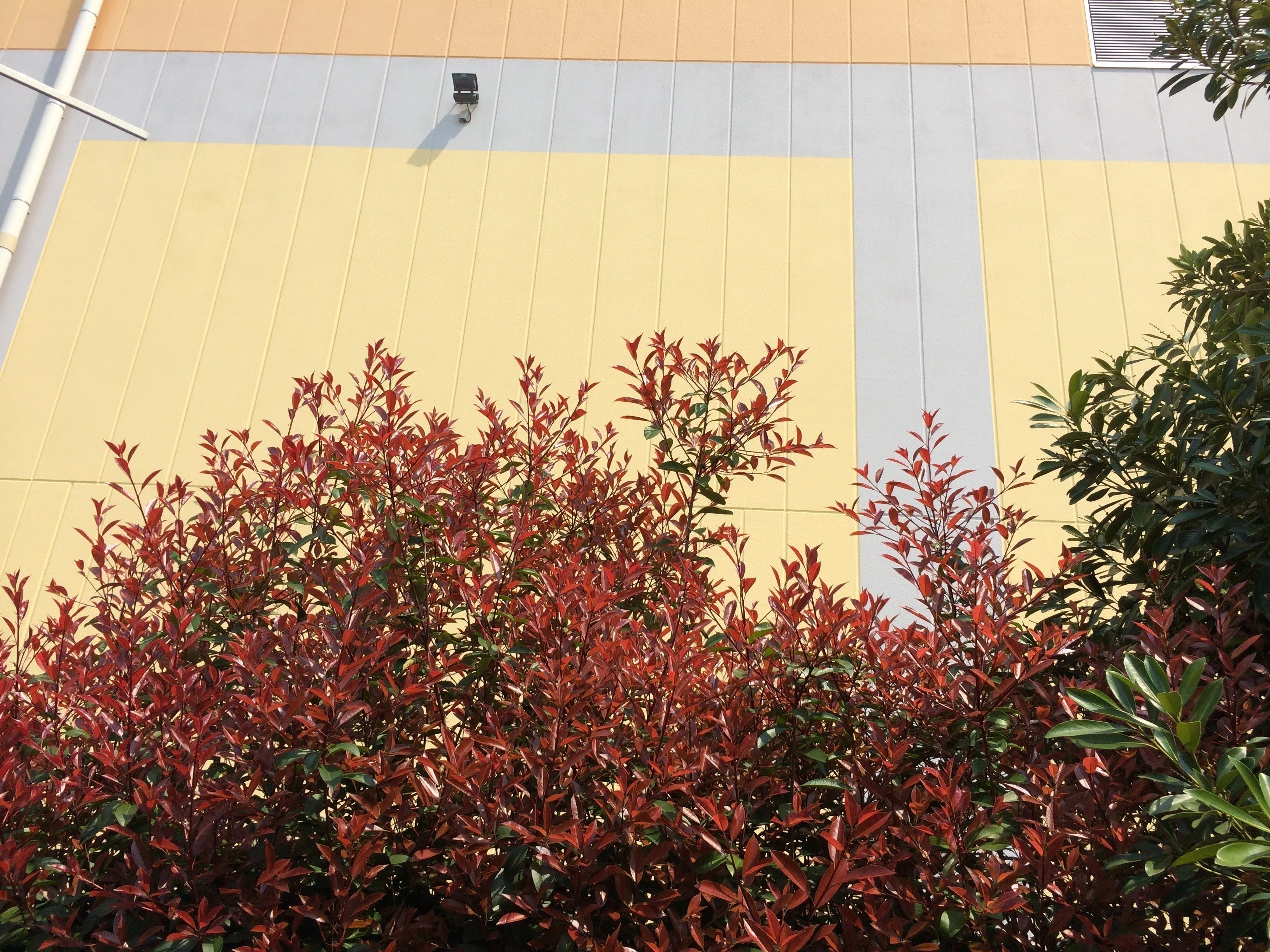 Propeller_Flower｜Eightman｜note