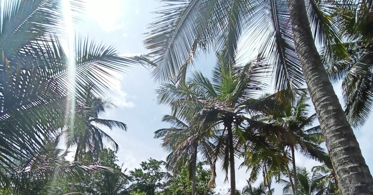 息子の進路のこと｜J M Chieko｜note