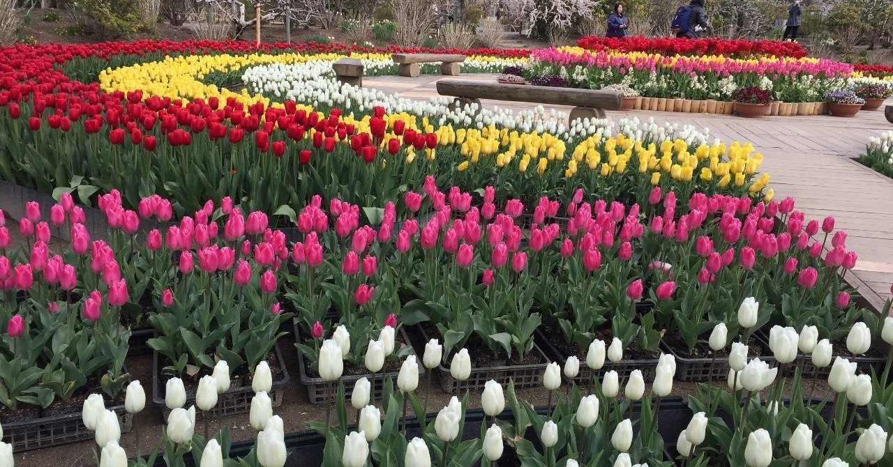 提言｜たなちゃん