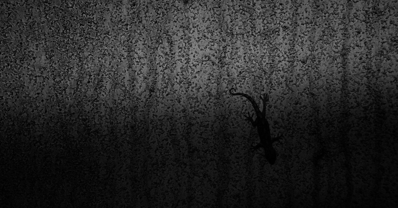 ～gray一色～｜RURU