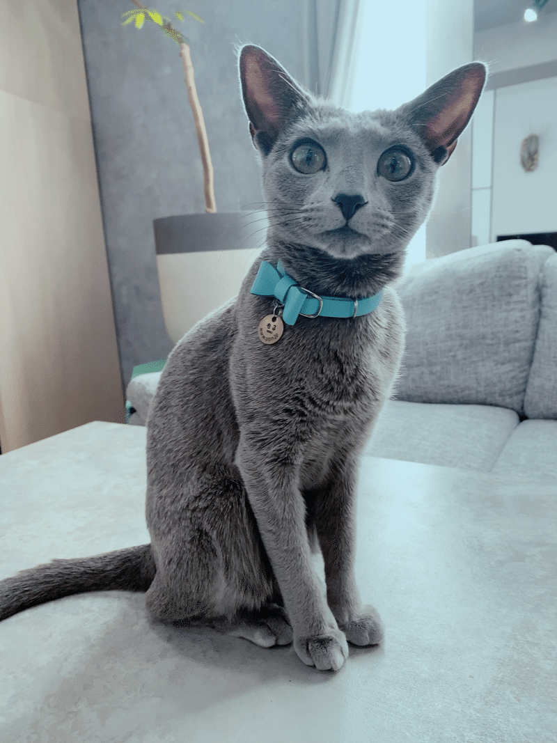 臨月｜moru.｜note