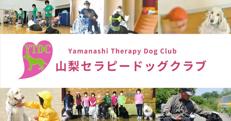 山梨セラピードッグクラブ（YTDC）ご紹介｜山梨セラピードッグクラブ（Yamanashi Therapy Dog Club）