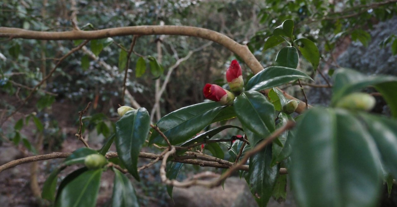 すべてのものはきちんとお返ししていくこと。｜Stella garden‐ステラガーデン‐｜井藤雅子｜note