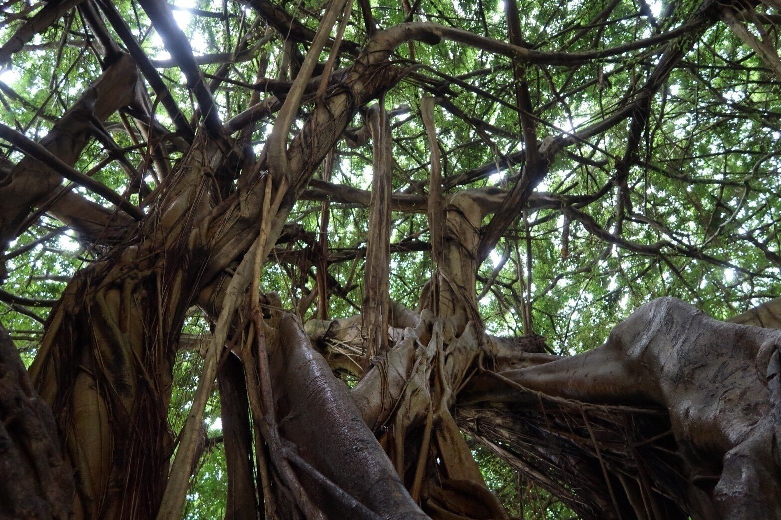 ukiwa_kentaro｜note