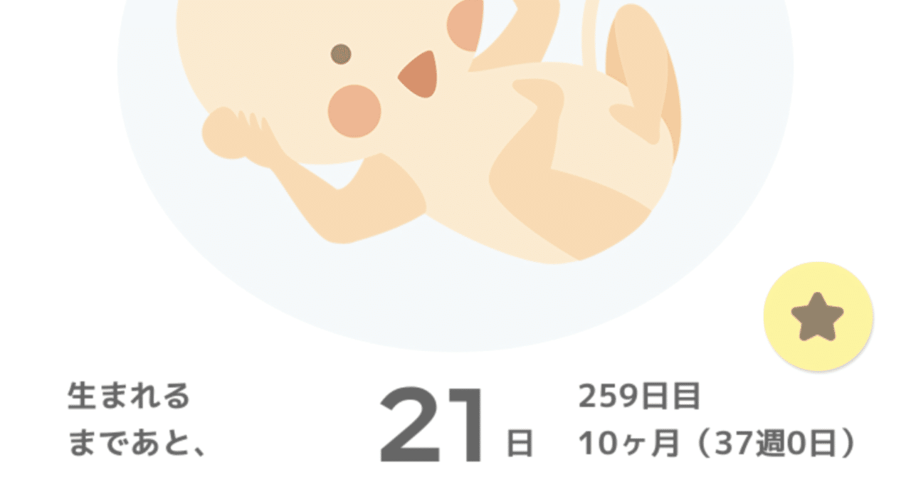 え、産まれそう！？｜moru.｜note