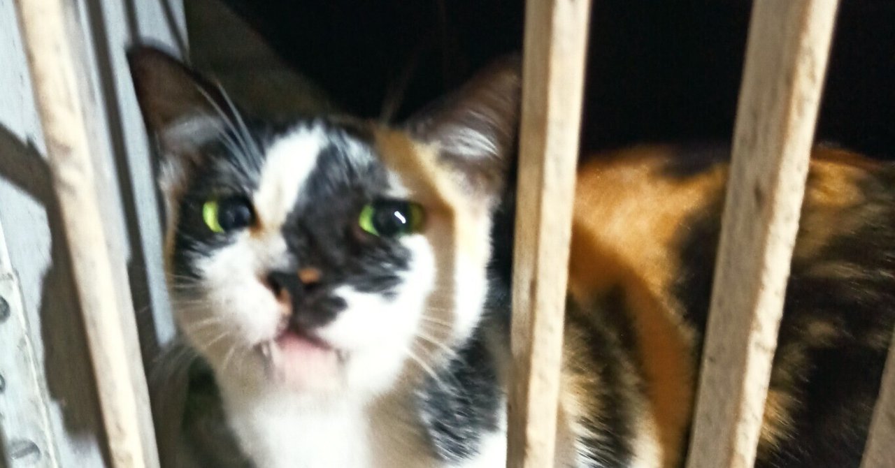 自分に休暇をあげること｜J M Chieko｜note