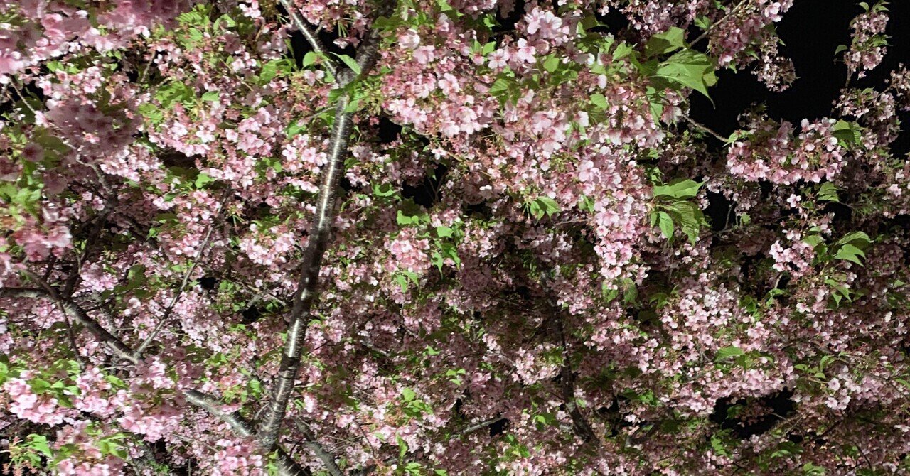 何も出来ない理由＋α （復職に向けて16）｜社畜＠www｜note