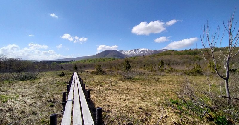 くらげ先生（永野龍典 Nagano Ryusuke）｜note