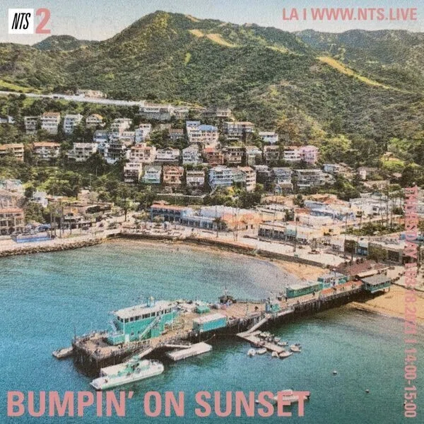 【早朝ドライブ、朝の作業用BGM】スムースなSoft Rock、Lovers Rock、Jazz、Fusion、etc...｜Shingo Maeda