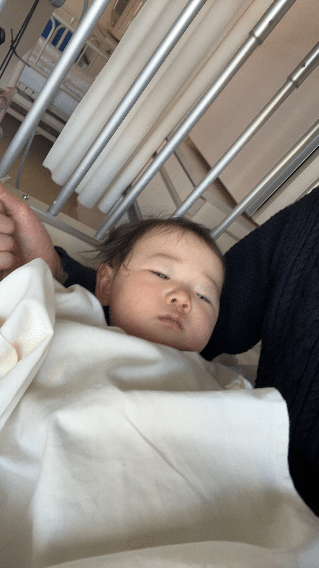 無事に手術もお昼過ぎに終えて今夜はもう一泊です。 とにかく無事に終えてホッとしています。本人はかなりお怒りです😅｜Hide Shika【フォロバ100%🙇‍♂️】