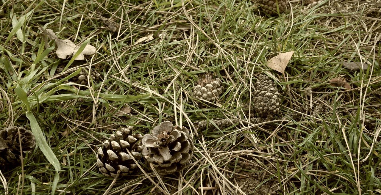 Management Accounting｜Ryo Shimada