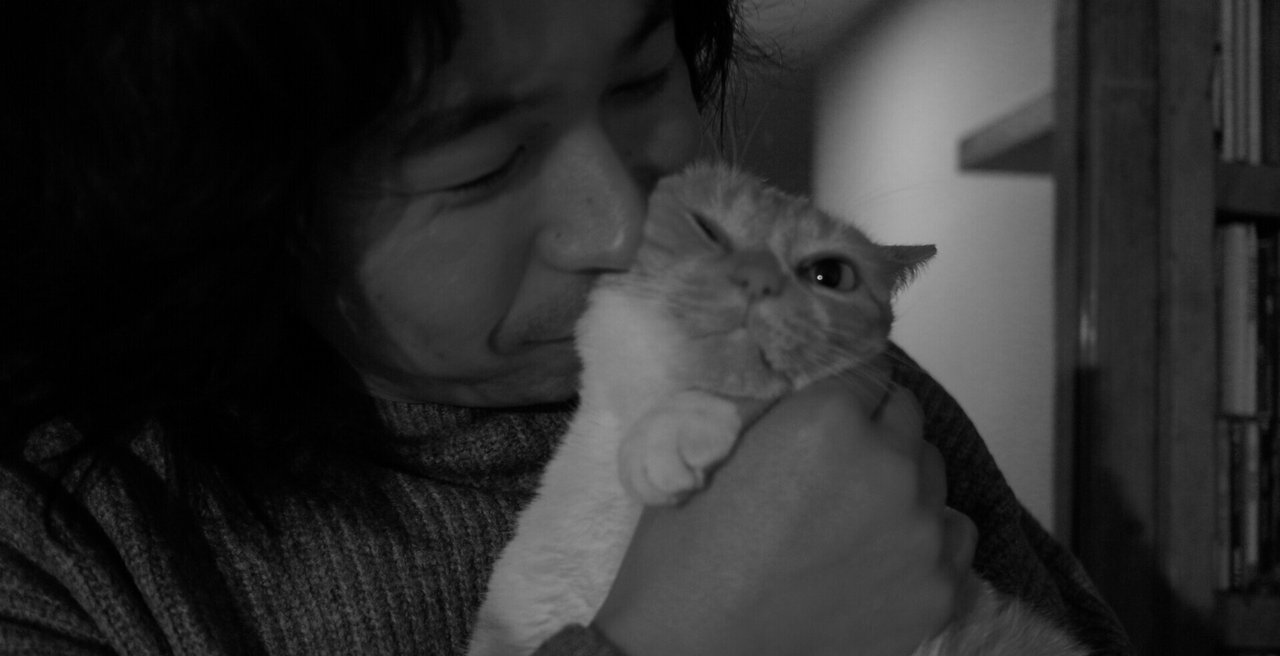 窓越しの世界 2022.1.29~2.8｜笹倉慎介／Shinsuke Sasakura｜note