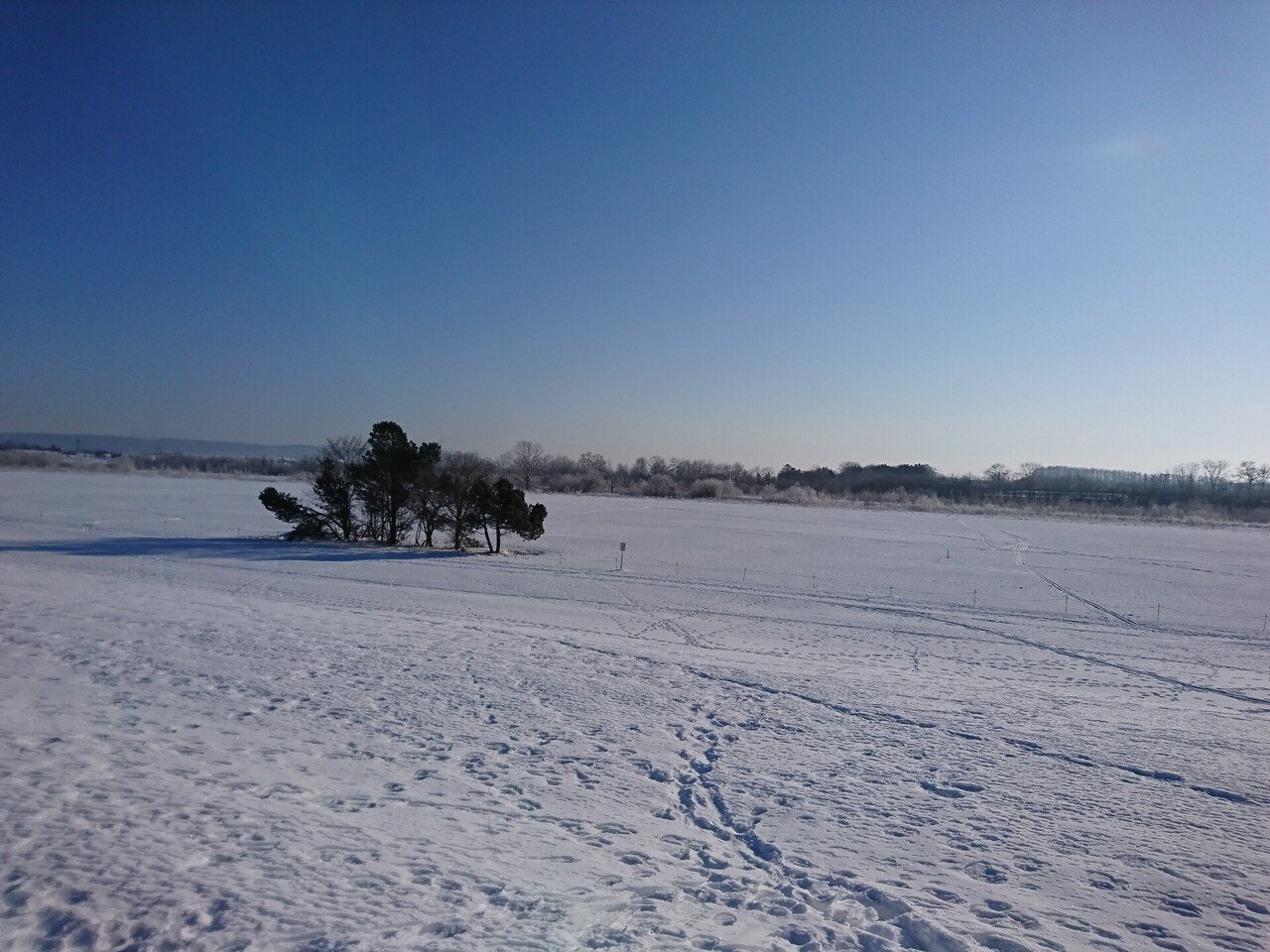 河川敷…景色｜taka50｜note