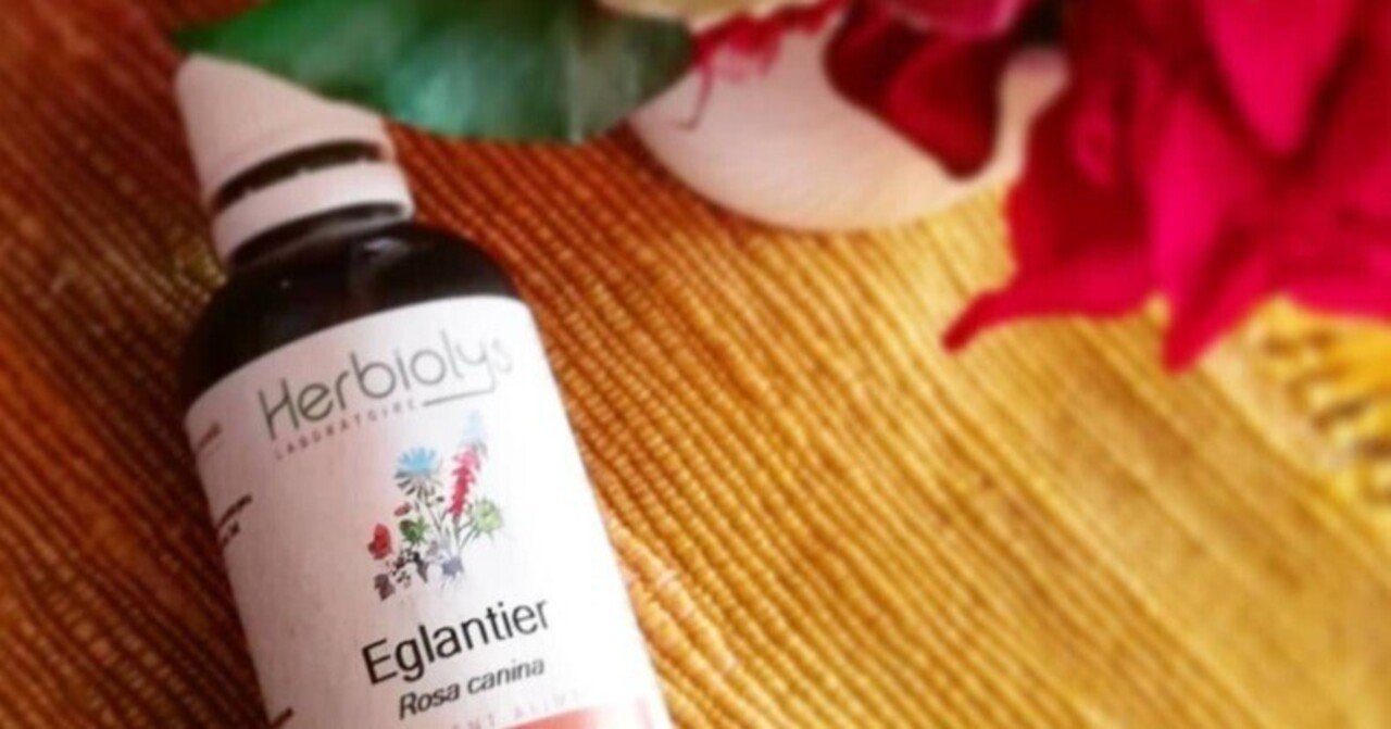 身近な美と健康のアドバイザーとして起業｜yousuke.Hotta｜note