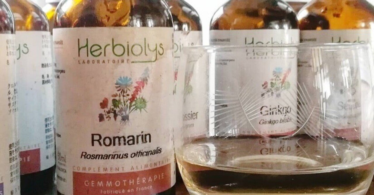 植物療法ジェモセラピーって何？｜yousuke.Hotta｜note