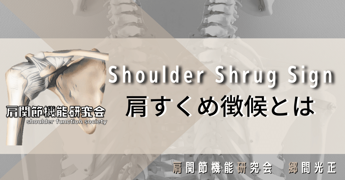 Shoulder shrug signの原因と介入｜肩関節機能研究会 郷間