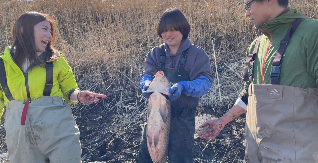 2月は〝コイ〟の季節｜ANTCICADA｜note