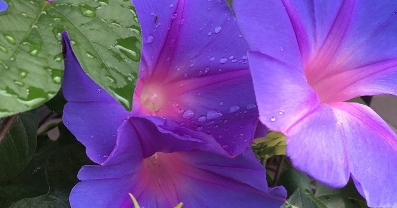 ごあいさつと自己紹介など｜ken okai | 界隈創造舎｜note