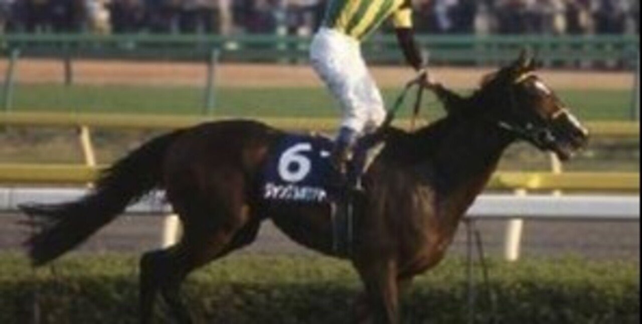 2/13高知6R[自信度]SSS｜🏇ステイゴールド🏇